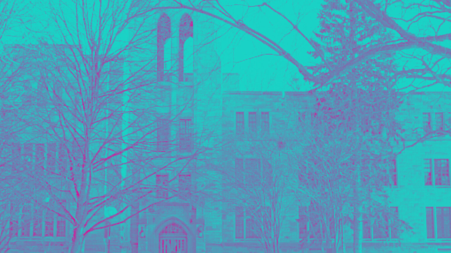 University of Stthomas School of Law - Odyssey